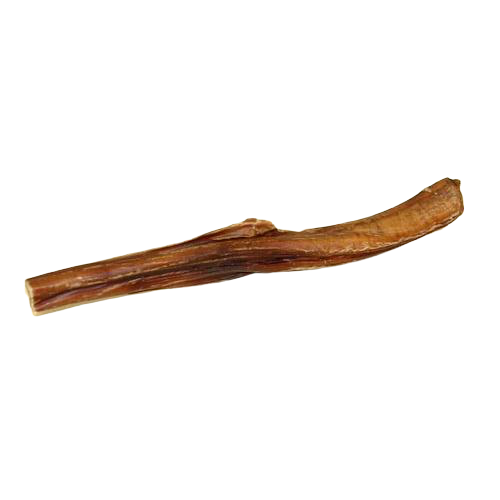 Lekker Barkery Beef Pizzle Stick Single | Pet Plus